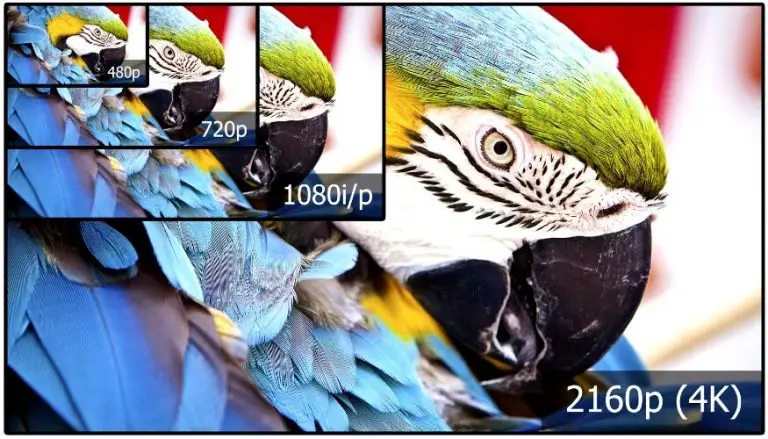 1080P vs 1440P vs 2160P: Which is Best For You? (2023)