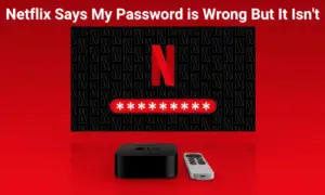 Netflix Says My Password is Wrong But It Isn't: How to Fix? (2025)