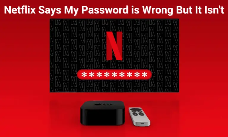 Netflix Says My Password is Wrong But It Isn't: How to Fix? (2025)